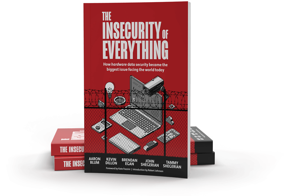 Insecurity Of Everything Book ERI